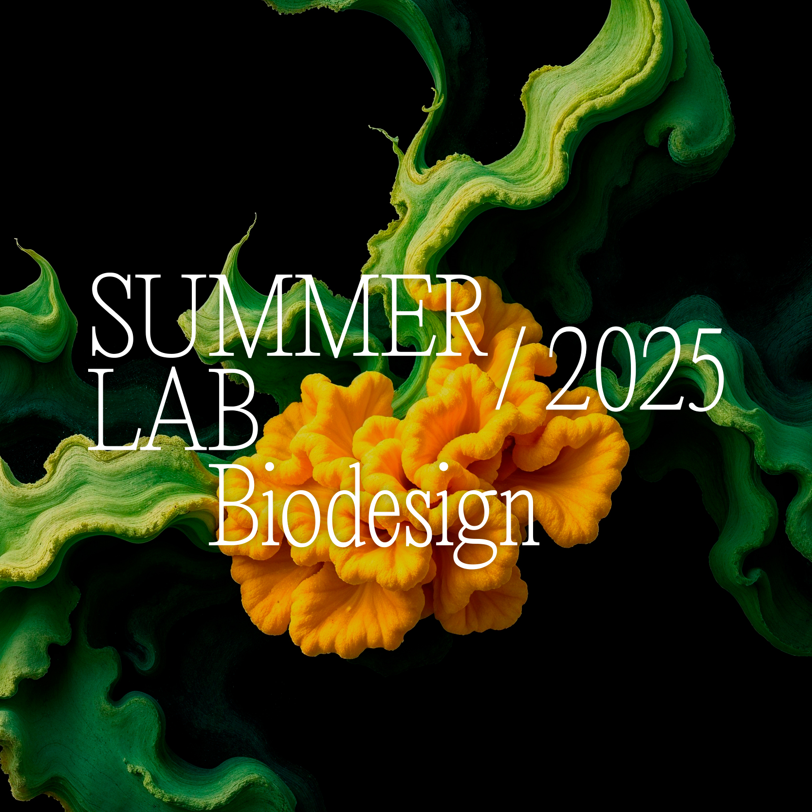 SummerLab 2025 BIODESIGN - Laboratorio Biomimético